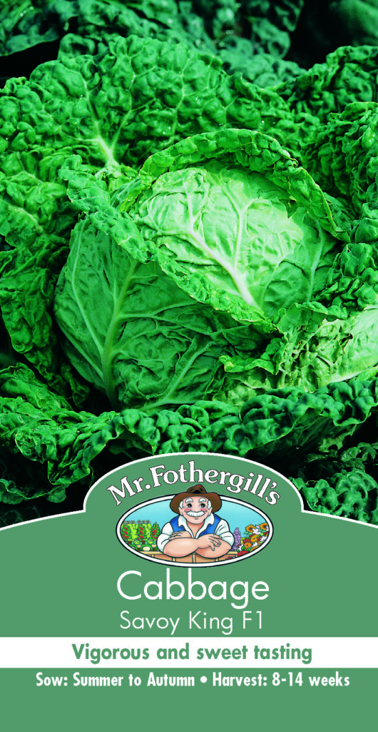 Cabbage Savoy F1 | River Road Nursery
